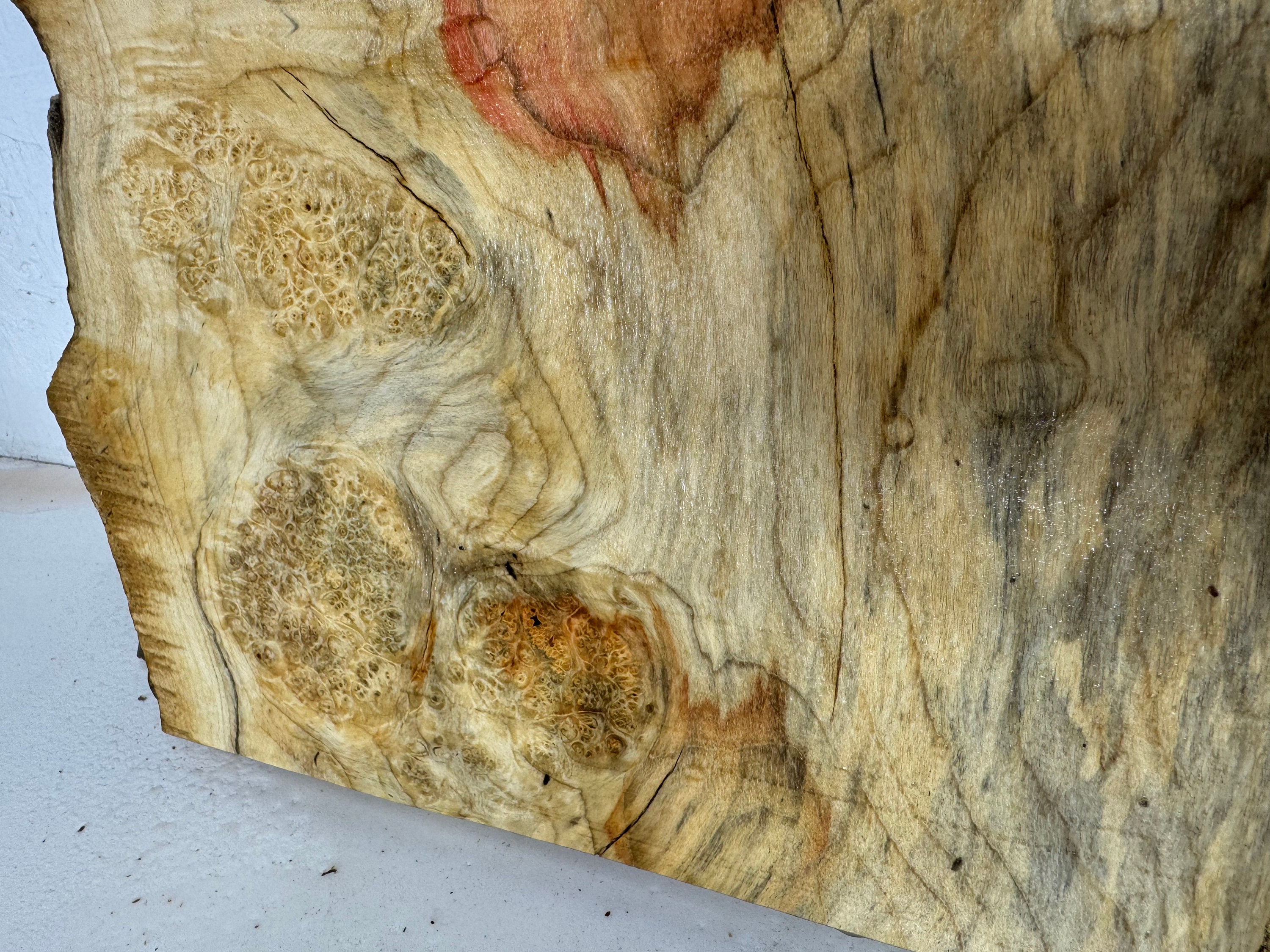 Box Elder Burl Slab With Live Edge 17 X 12 X 1.60 Birds Eye BE171 - Etsy