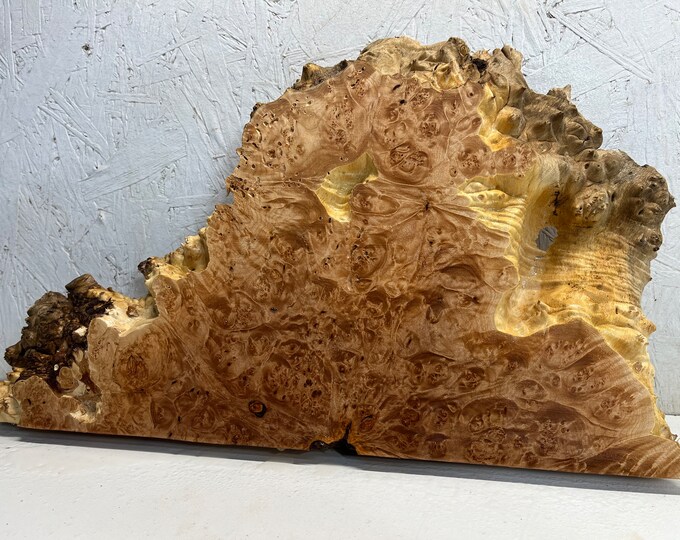 Maple Burl Slab With Live Edge | 21" X 12-1/2" X 1-3/4" | DRY | MB432 ...