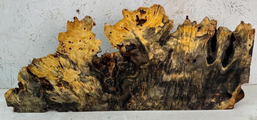 Buckeye Burl Slab With Live Edge | BB 380 - Etsy