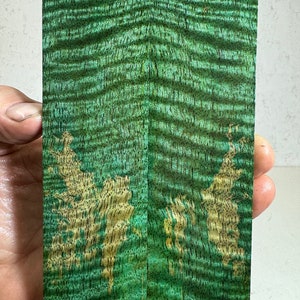 Stabilized Curly Mango Knife Scales FREE SHIPPING SCM 177 - Etsy