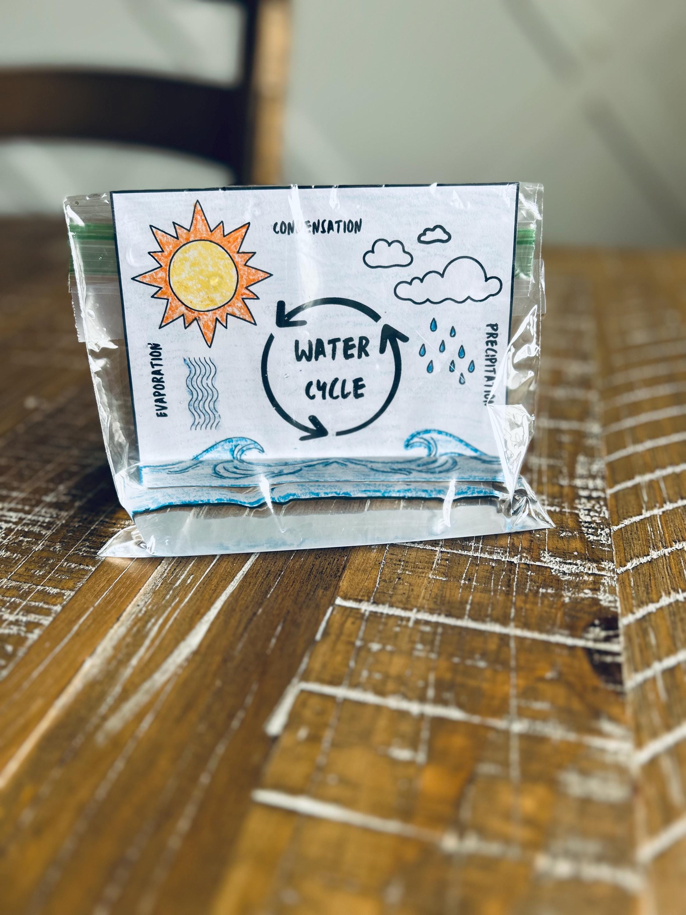 Visual Water Cycle Project for Kids - Etsy