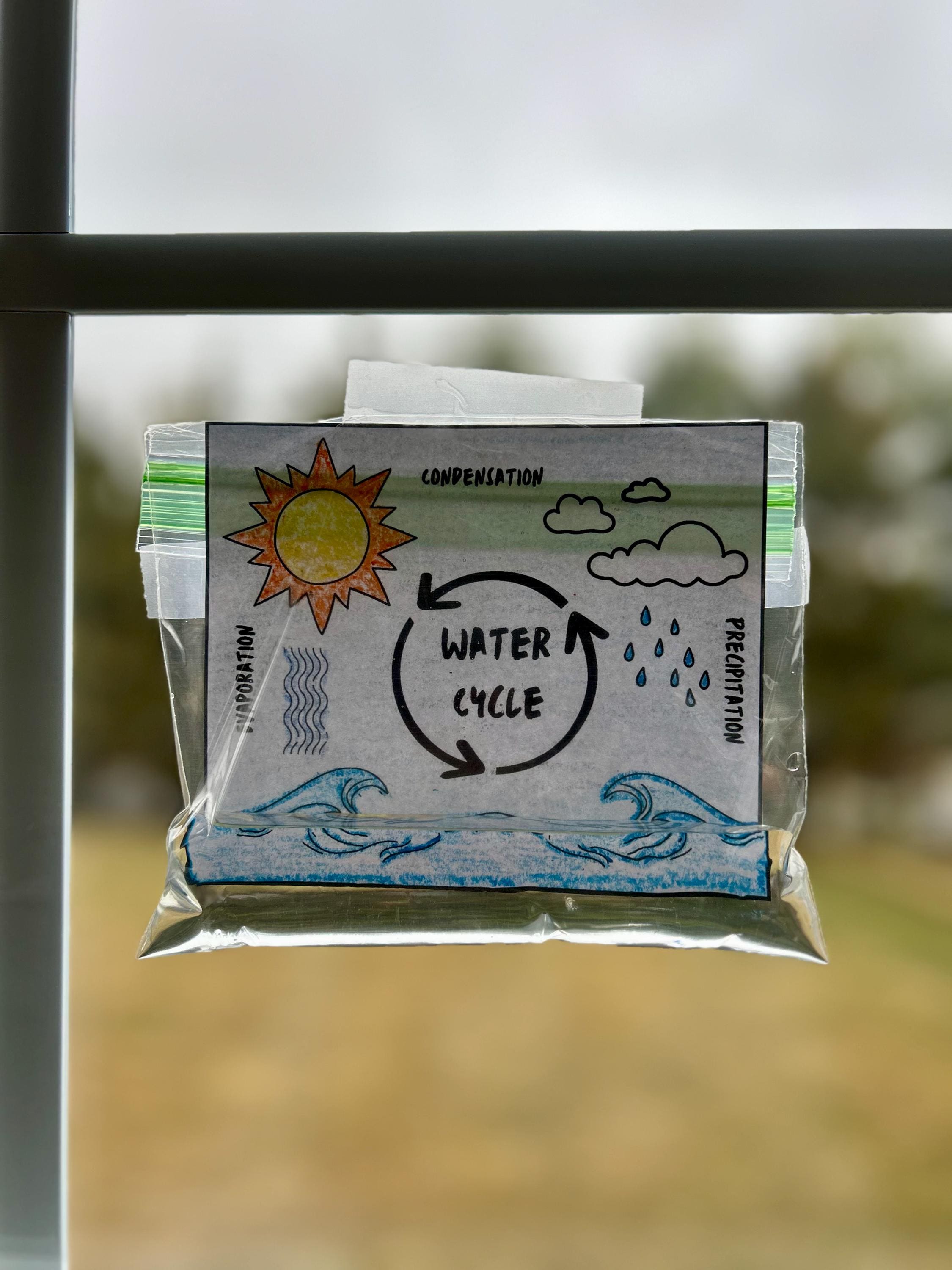 Visual Water Cycle Project for Kids - Etsy