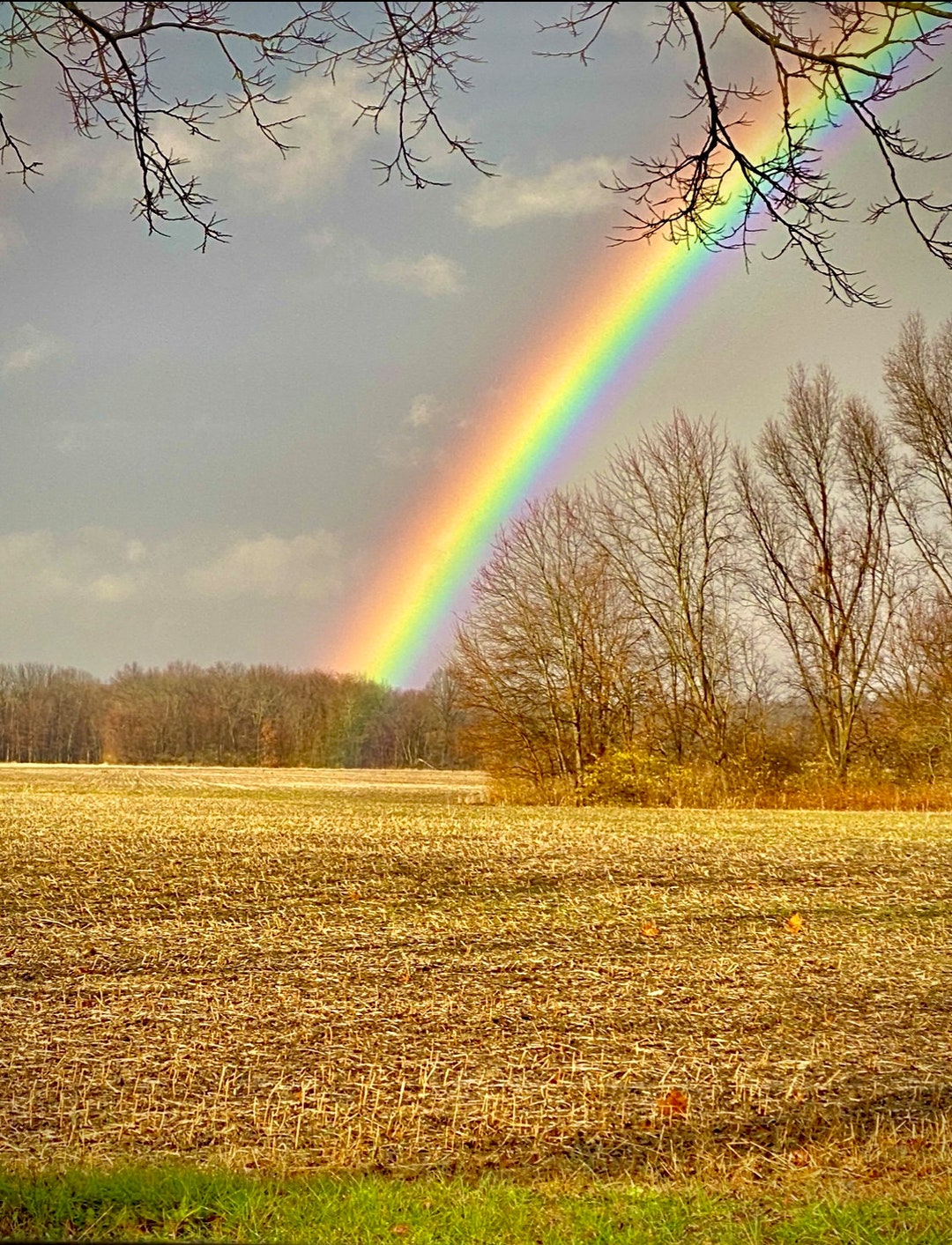 Rainbow Field - Etsy