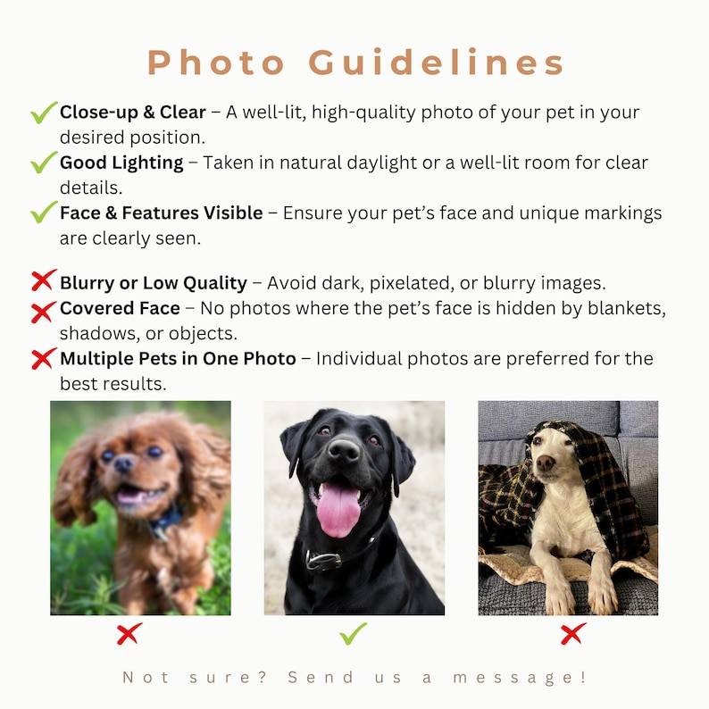 Custom Pet Portrait, Personalized Pet Illustration (digital Download ...