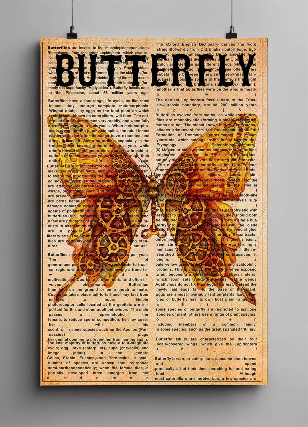 Vintage Butterfly Anatomy Poster, Butterfly Facts Steampunk Style Print ...