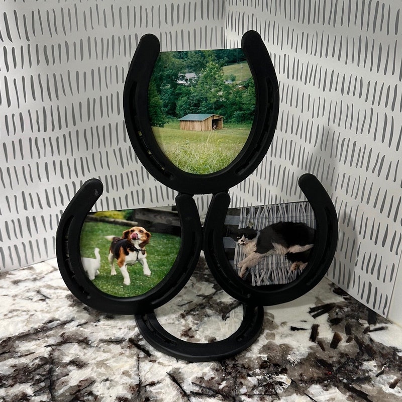 Framed Horseshoe - Etsy