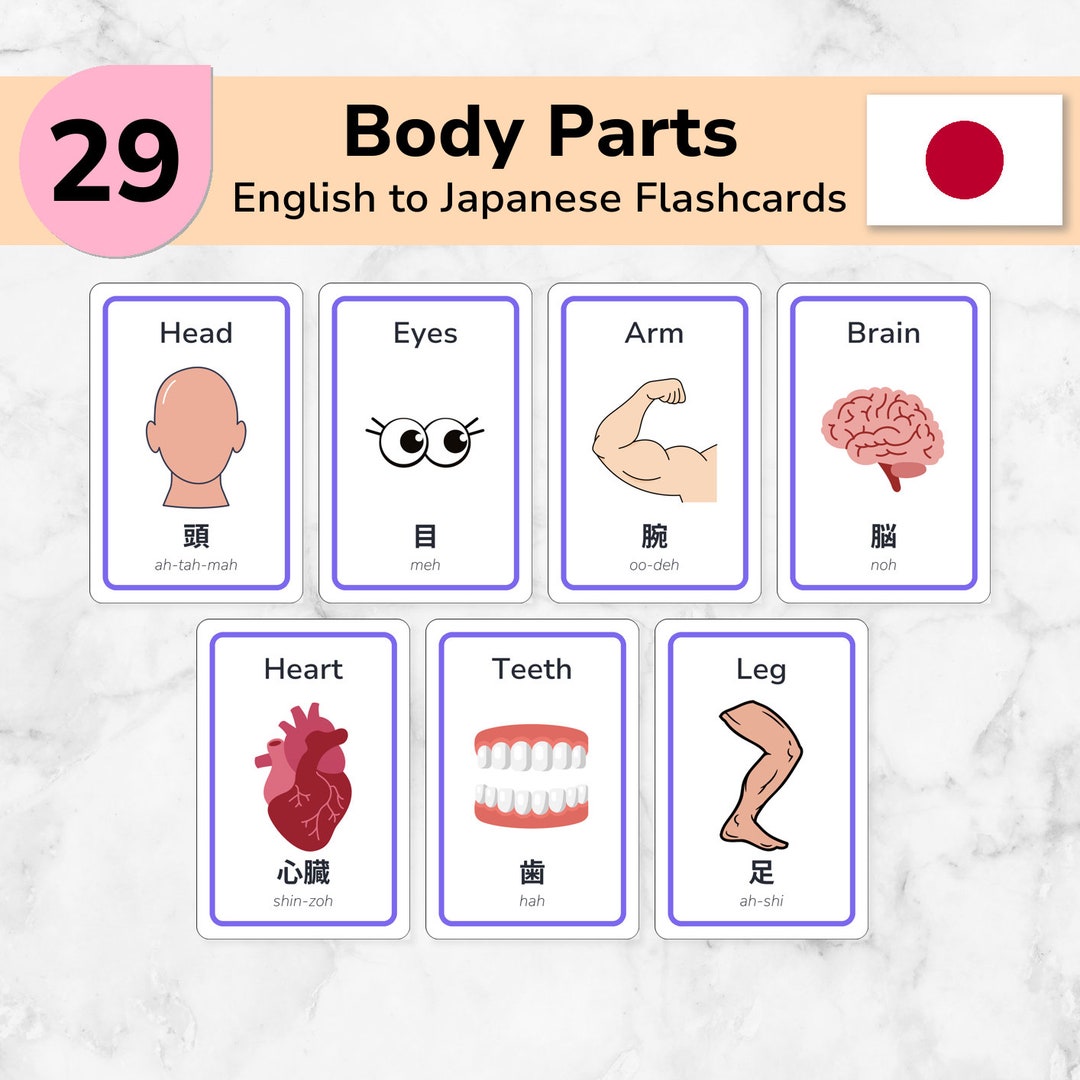 Japanese to English 29 Body Parts Themed Flashcards - Etsy