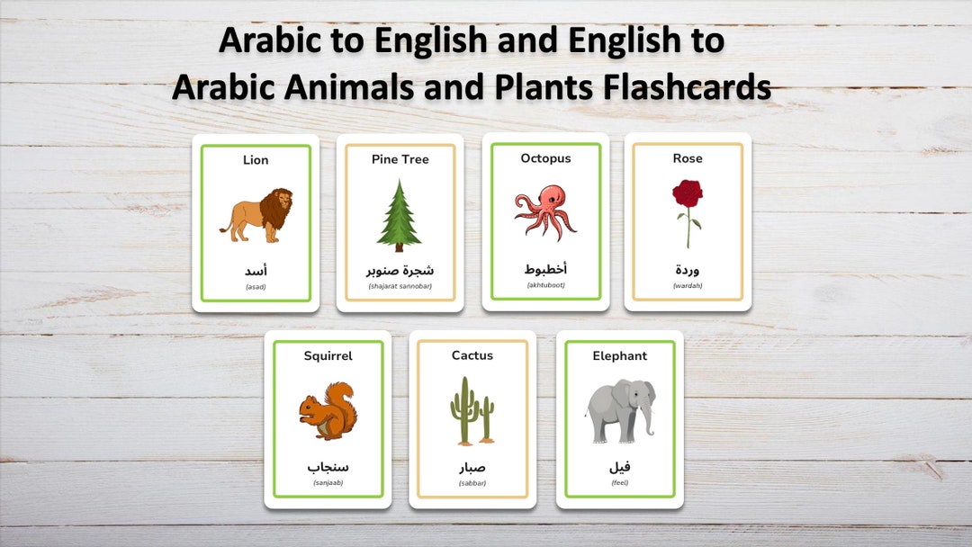 Animal and Plant Flashcards Set of 35 Printable Cards. - Etsy