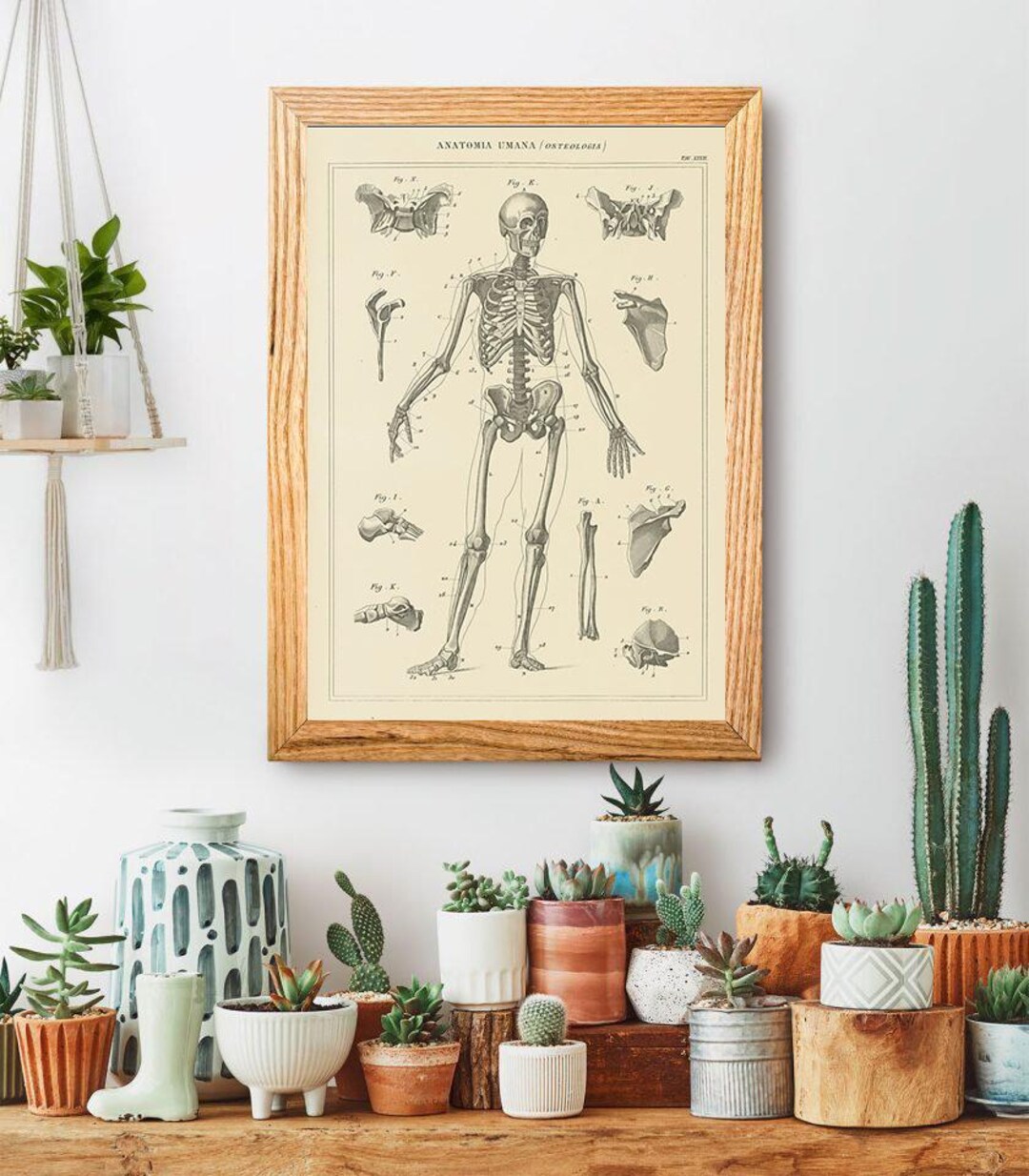 Skeleton Chart Poster No Frame, Vintage Poster, Skeleton Chart Poster ...