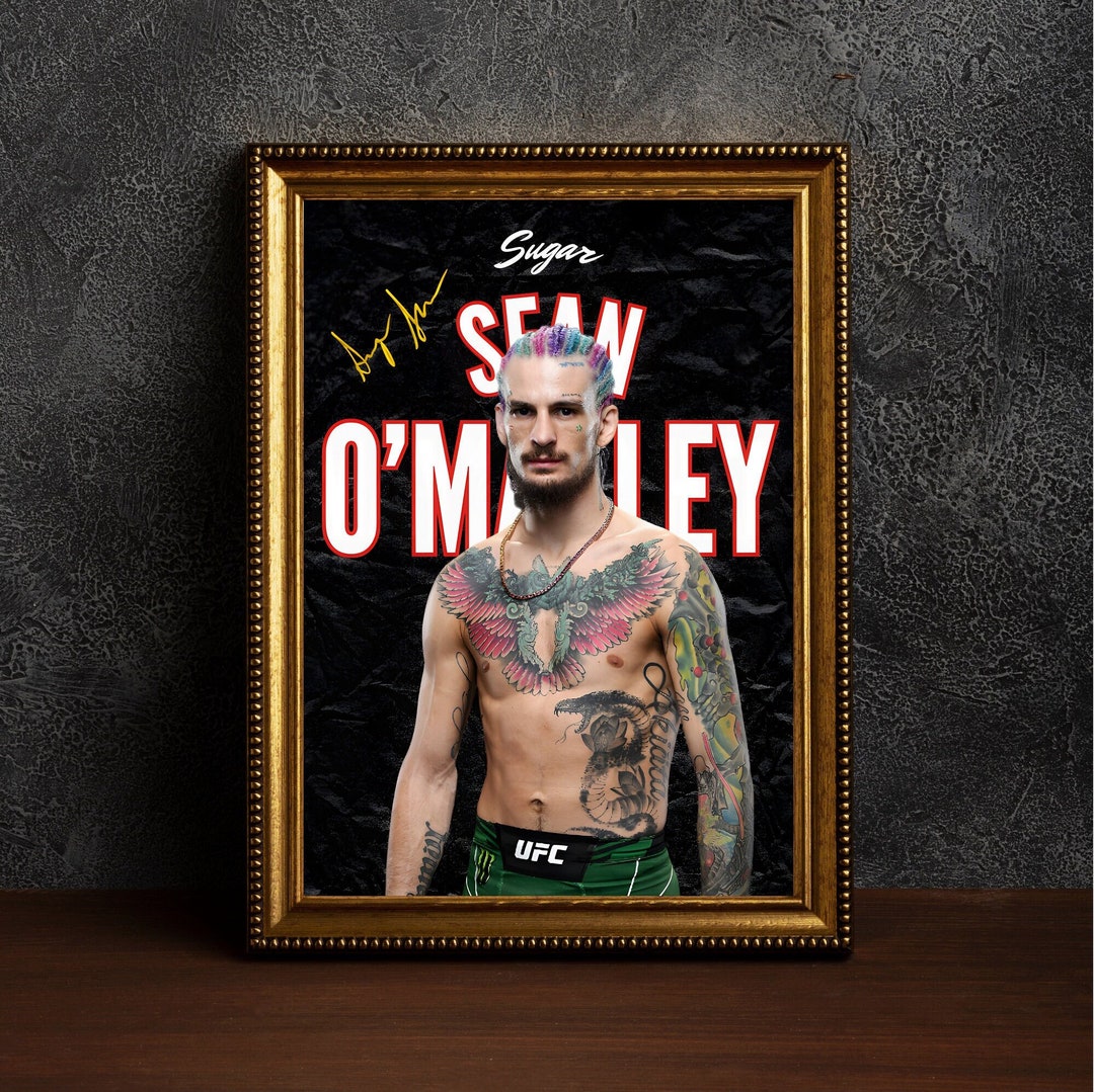 Poster Sean O'malley / UFC / Boxing / MMA / Wall Poster / Wall Art ...