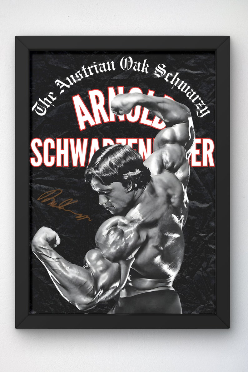Poster Arnold Schwarzenegger / Bodybuilding / IFBB / Gym Motivation ...