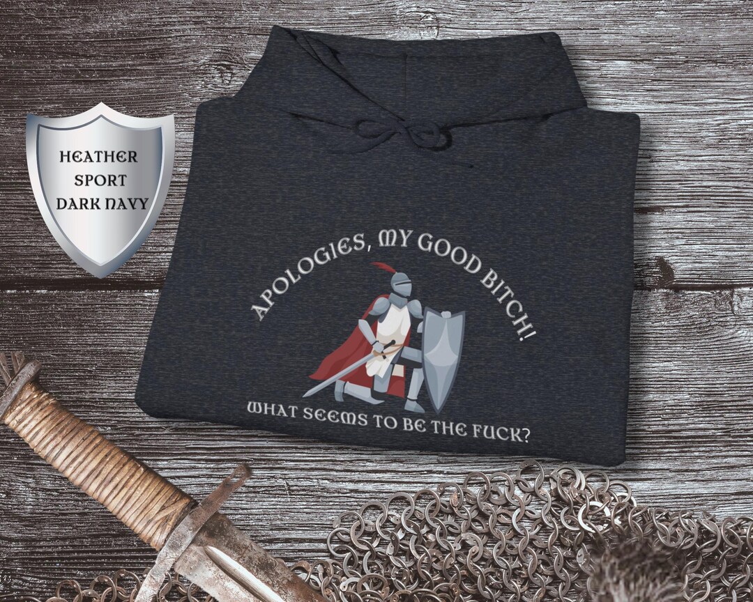 Rude Funny Medieval Hoodie, Knight Castle Core Aesthetic, Humorous ...