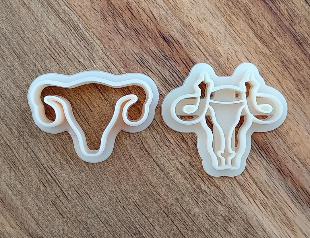 Uterus | Vulva | Vagina | Feminine | Empowerment | Anatomy | Birth ...