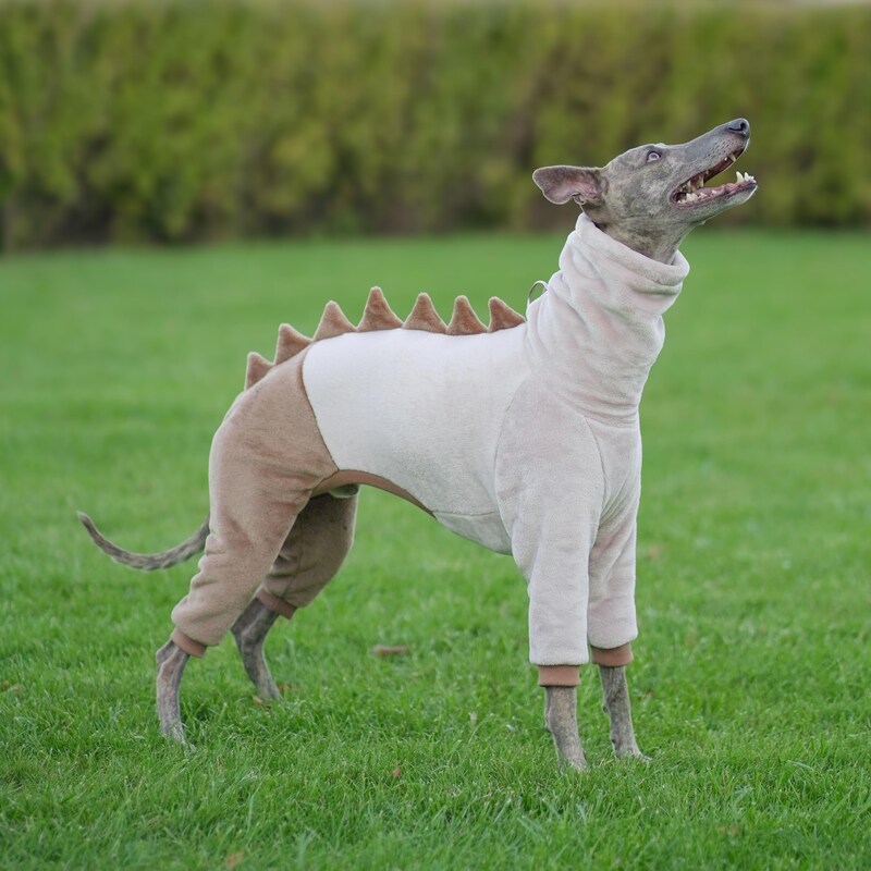 Whippet Clothing - Etsy