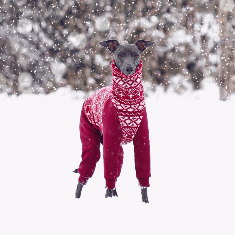 Greyhound Christmas - Etsy