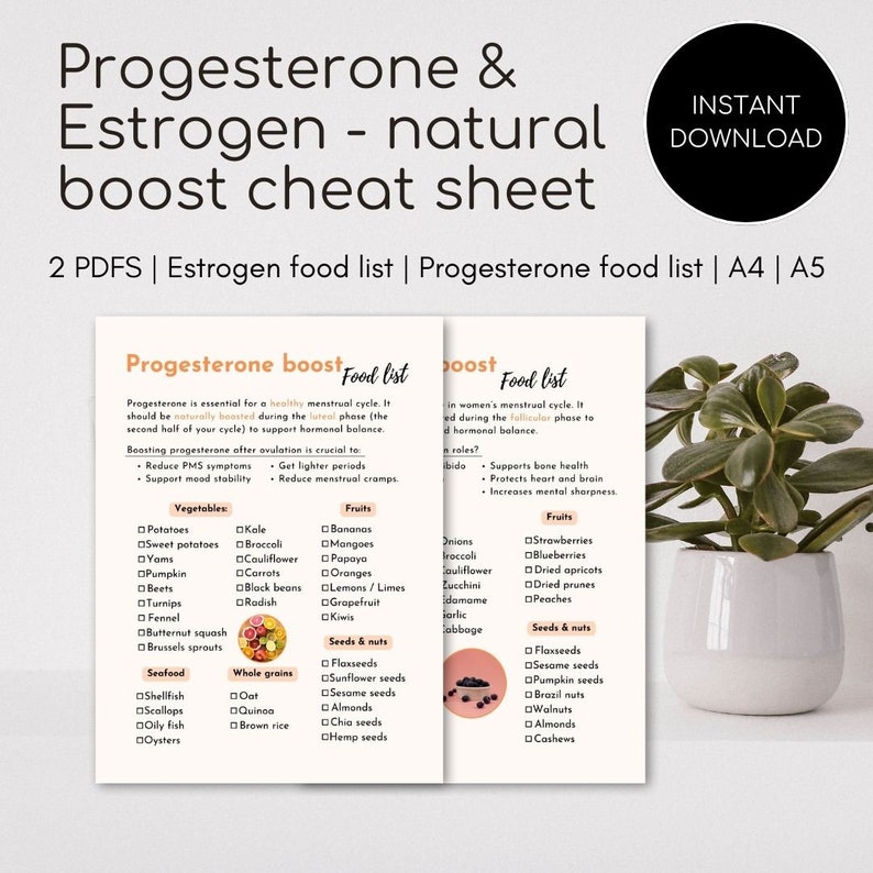 Progesterone & Estrogen Food List | Hormone Balancing Guide | Diet and ...