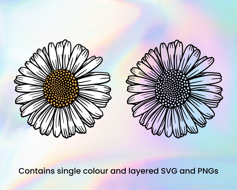 Daisy SVG and PNG Files Floral SVG Designs Trendy Design for Shirts ...