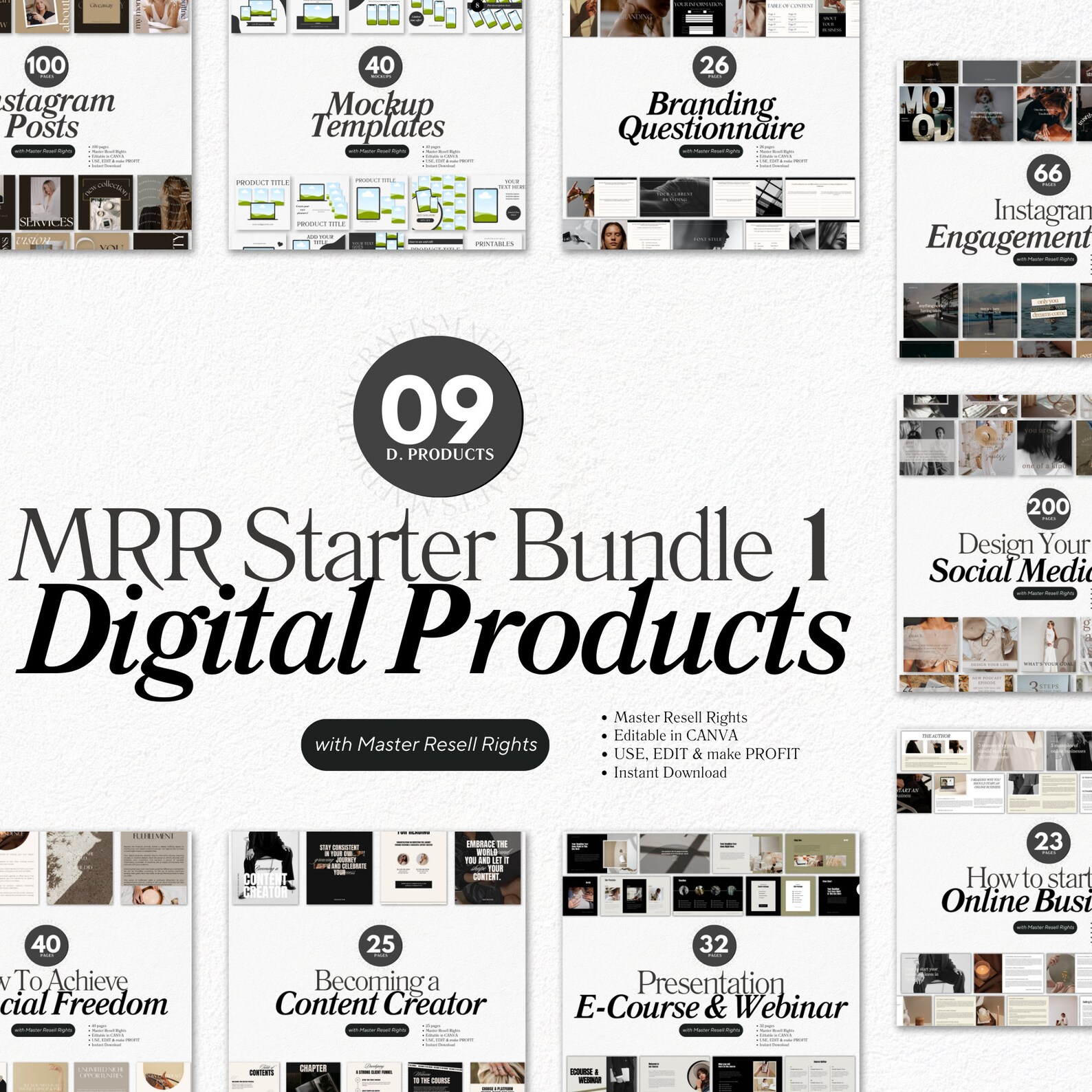 Ultimate PLR MRR Bundle Ideal for Passive Income, Plr Mrr Digital ...