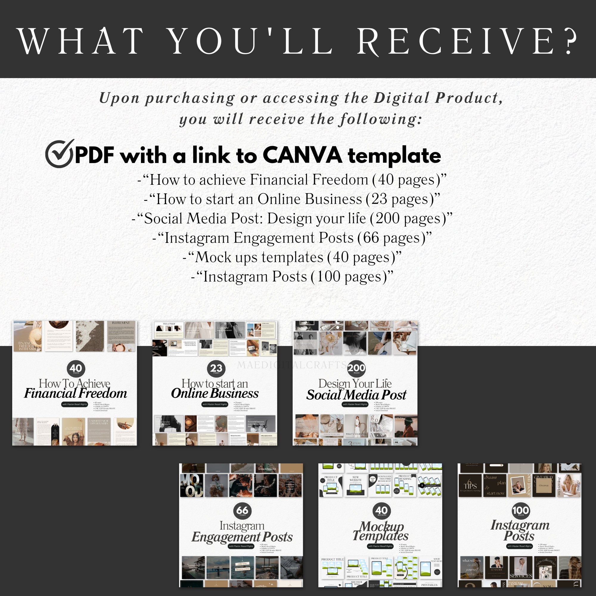 Ultimate PLR MRR Bundle Ideal for Passive Income, Featuring Private ...