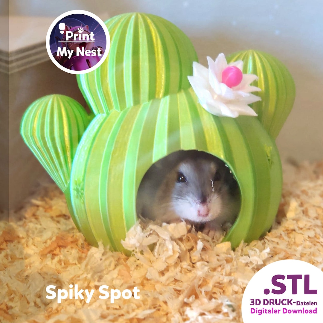 3D Printing STL Files, Cactus Hamster House, Fresh Cactus Flower Design ...