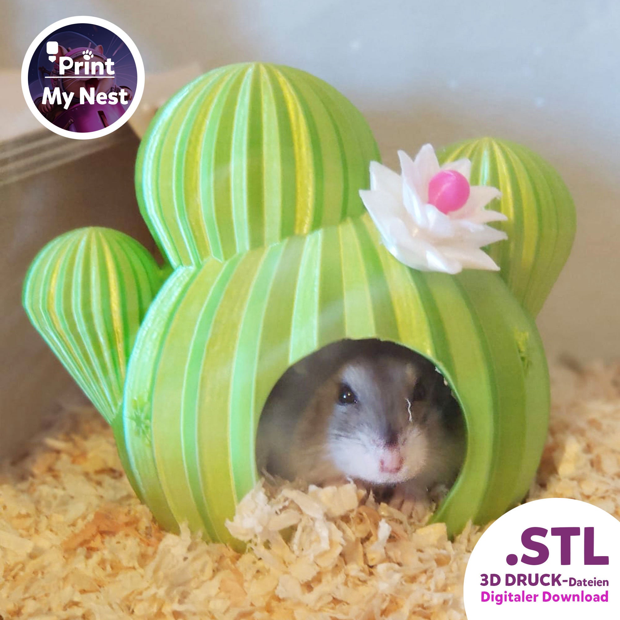 STL Files Set for 3D Printing, Cactus Hamster House spiky Spot & Watch ...