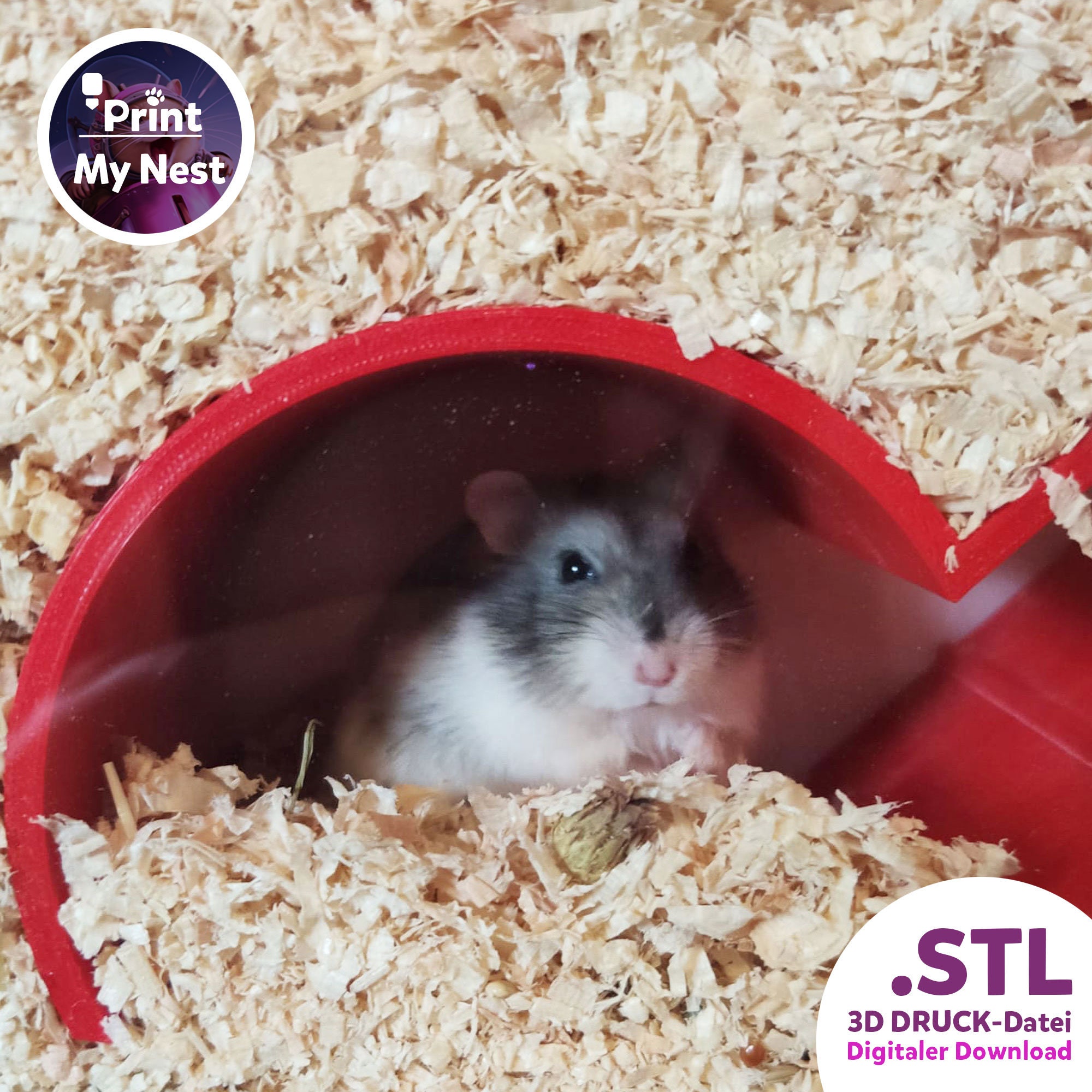 BUNDLE, STL Files for 3D Printing: Hamster House & Watchbox, Cactus Flower Design, Cage ...