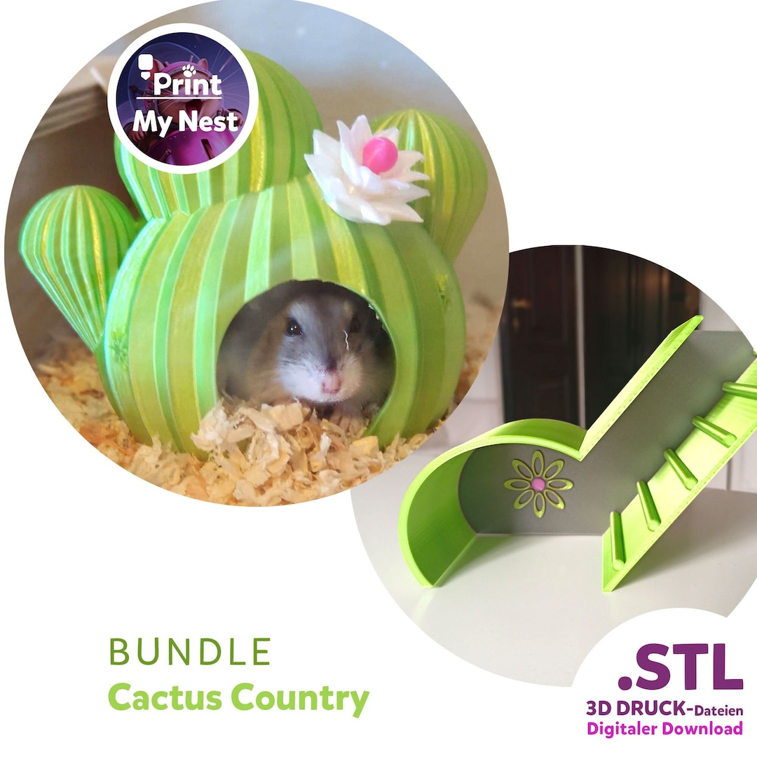 BUNDLE, STL Files for 3D Printing: Hamster House & Watchbox, Cactus ...