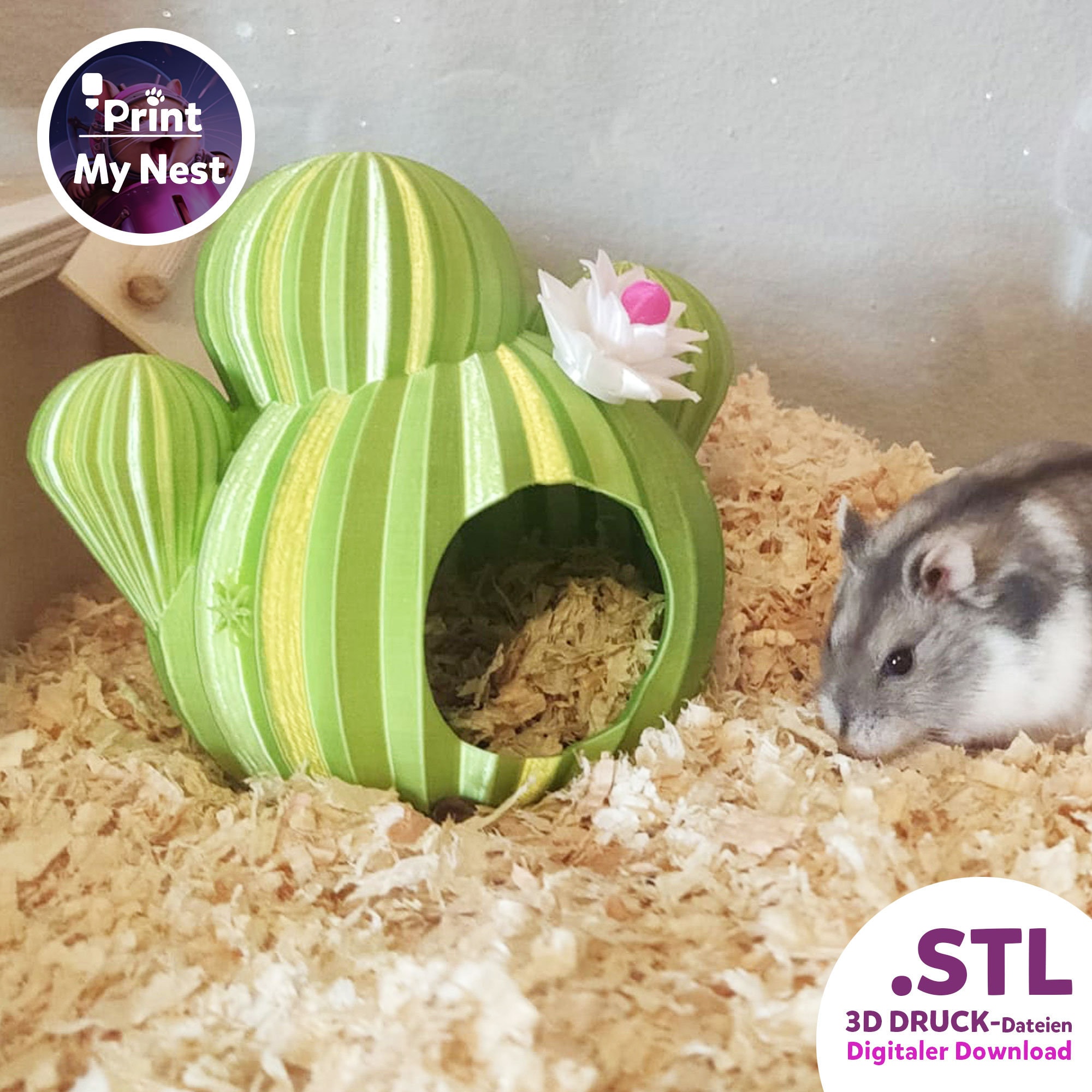 STL Files Set for 3D Printing, Cactus Hamster House spiky Spot & Watch ...