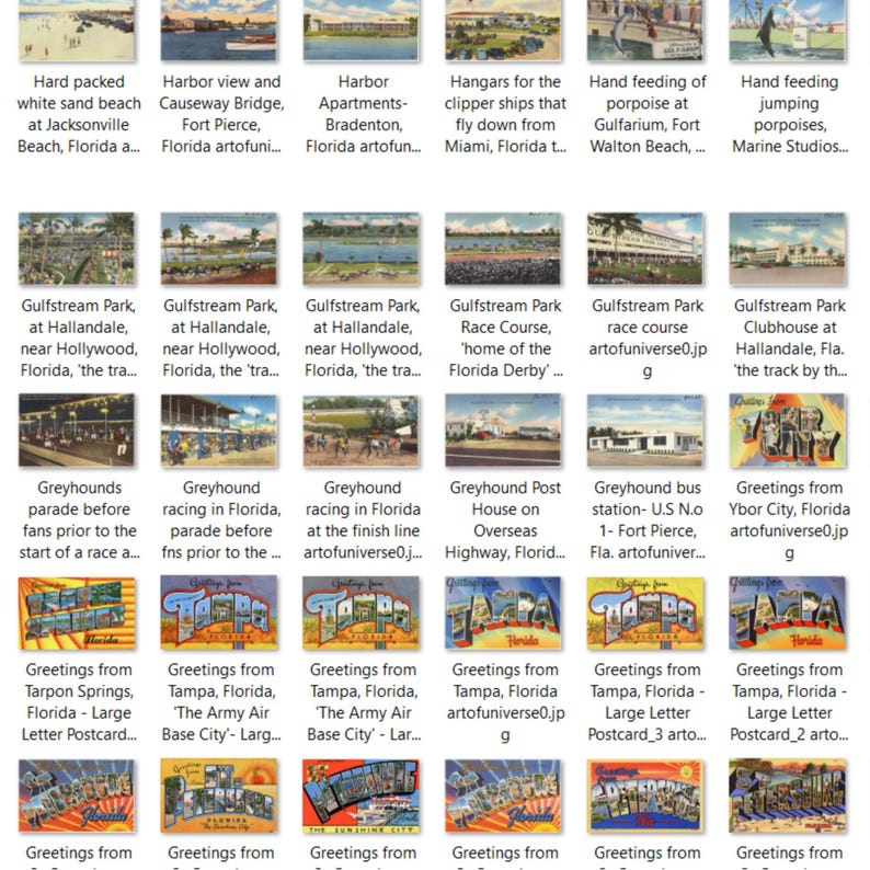 Vintage Florida Postcard Collection: 300+ Printable Landmarks (digital ...