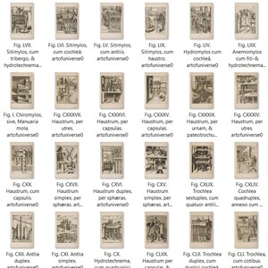 138 Vintage Machine Engravings Art Collection: High-quality |300 DPI ...