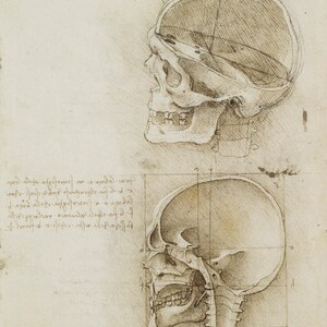 Leonardo Da Vinci Collection 250 Image - Manuscript Notes,sketches ...