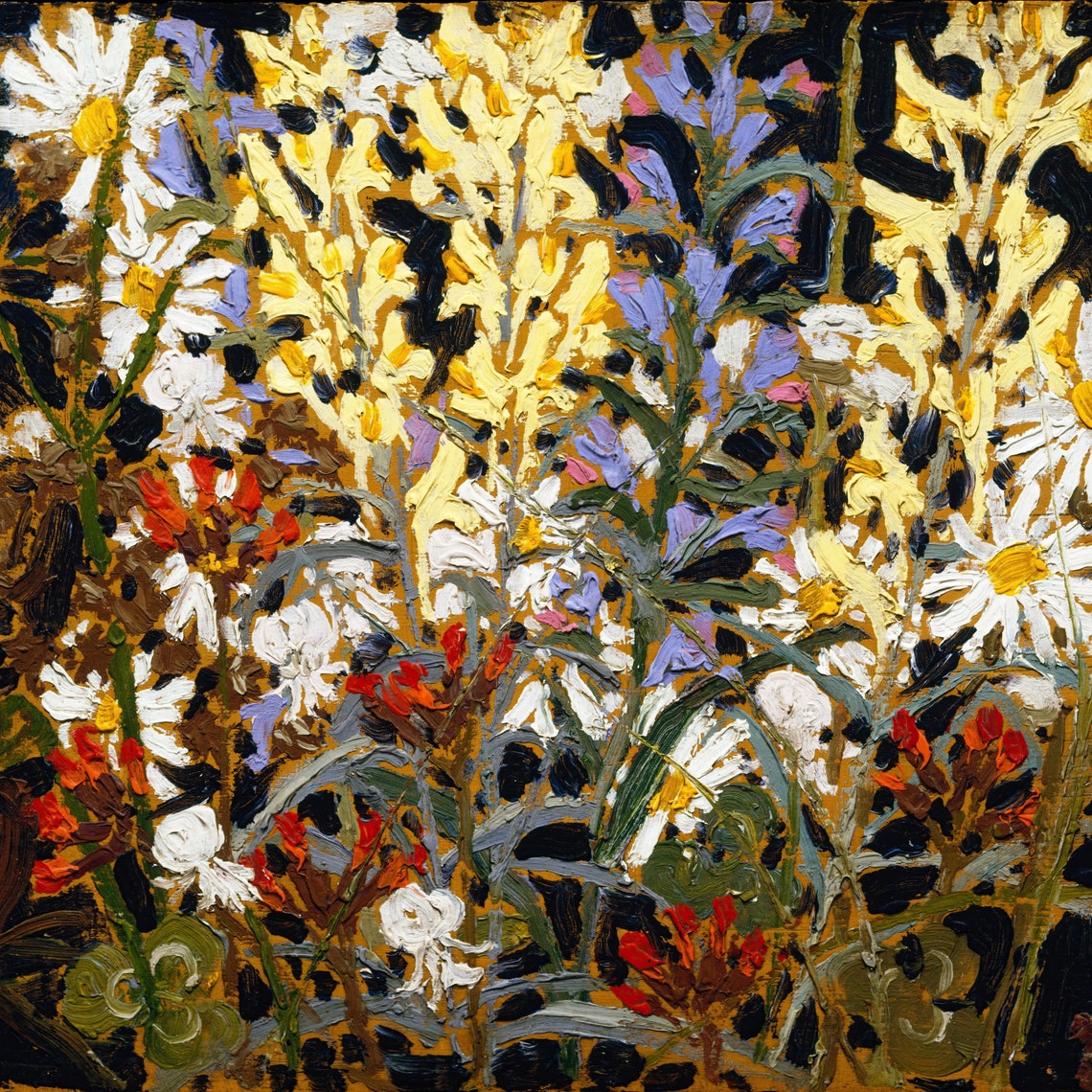 Tom Thomson Art Collection: 158 High-res Printable Paintings (digital ...