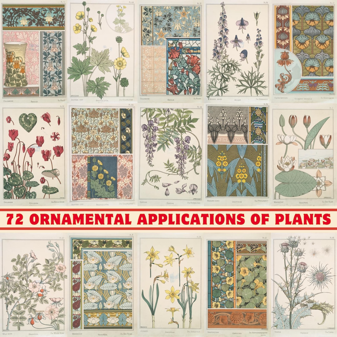 72 Ornamental Applications of Plants Collection: High-quality |300 DPI ...
