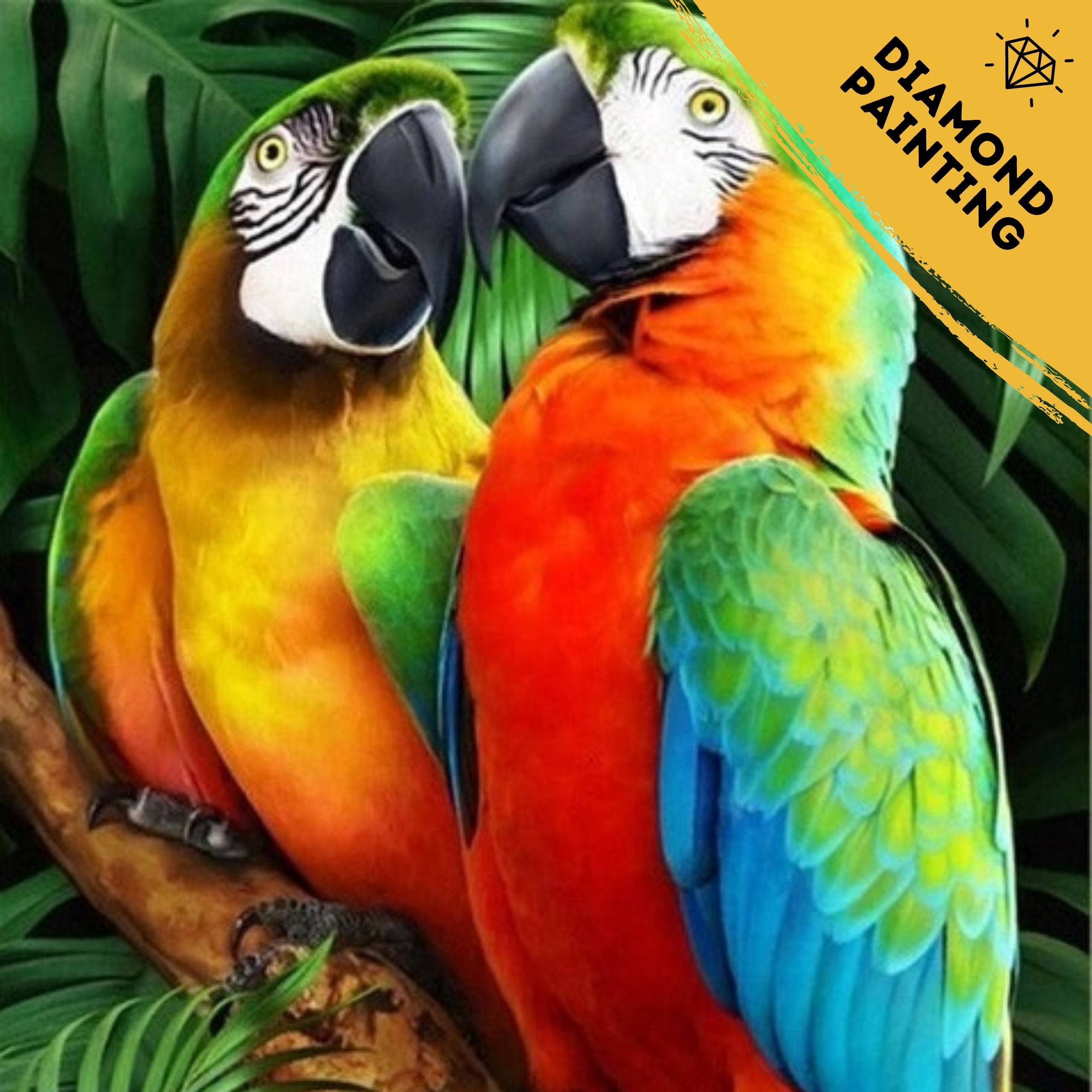 The Hobby Planet Diamond Painting Parrot Square MP4 - Etsy