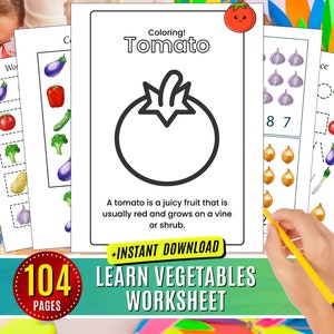 Vegetables Worksheet: Tracing, Coloring, Sorting Activities ...