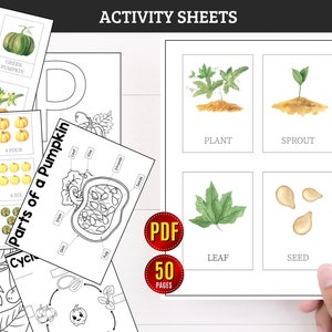 Pumpkin Life Cycle Unit Study Worksheet Homeschool Lessons Learning ...