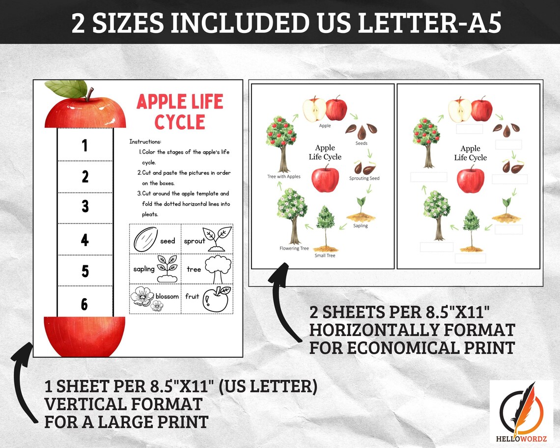 Apple Life Cycle Tree Science Unit Study Activity Workbook Apple ...