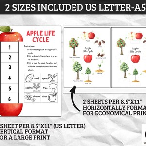 Apple Life Cycle Tree Science Unit Study Activity Workbook Apple ...