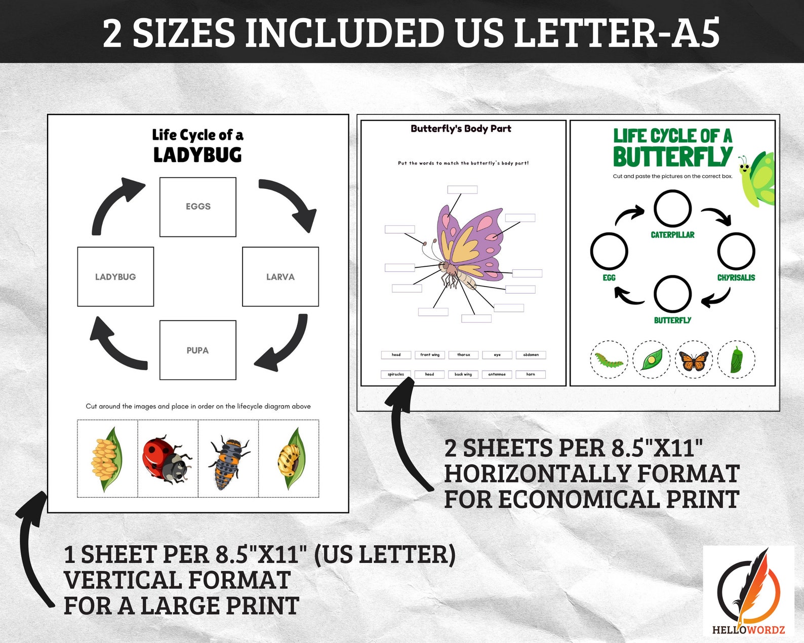 Life Cycle Worksheet, Butterfly Life Cycle Worksheet, Activity Life ...