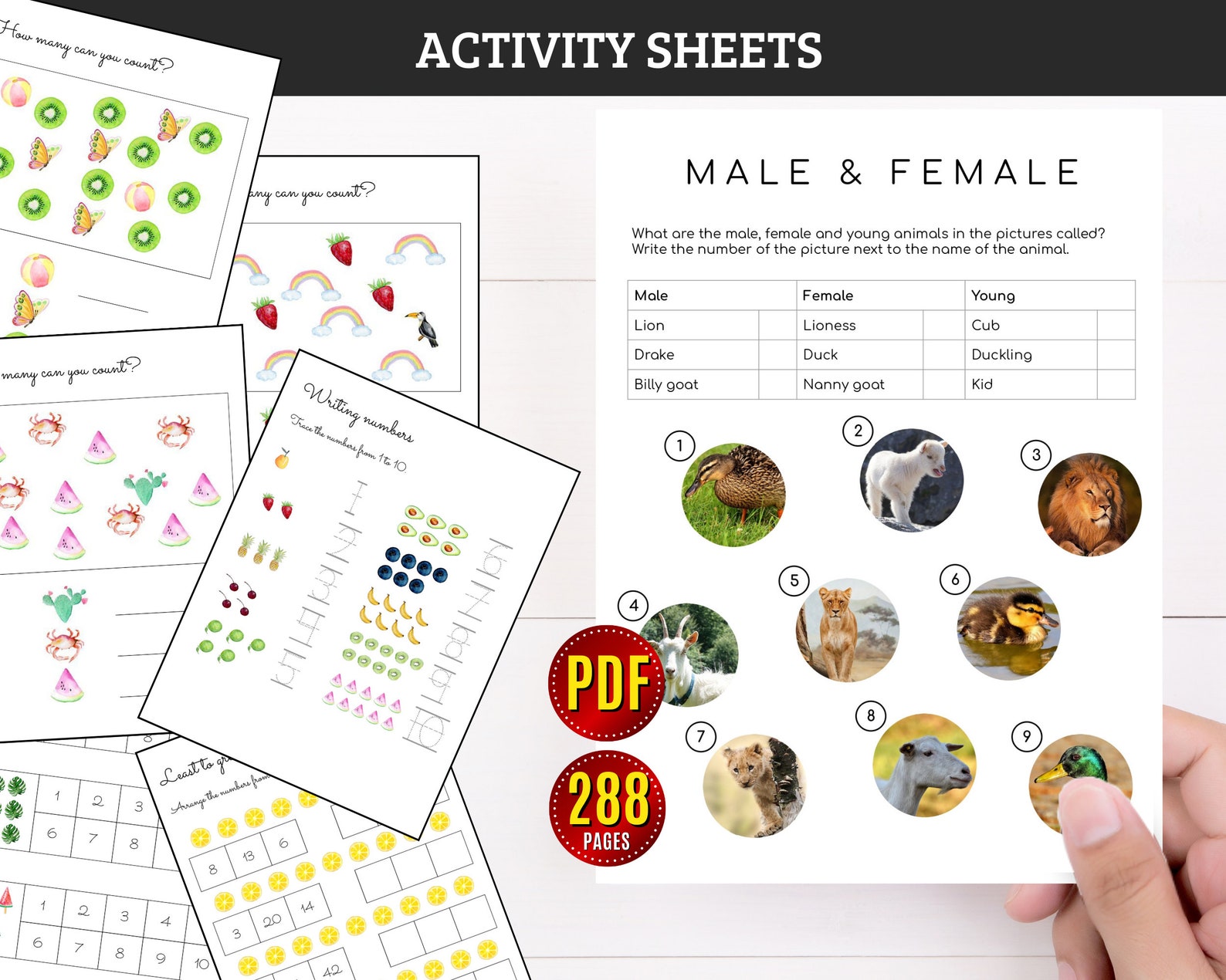 Worksheet Preschool Learning Activities, Bundle Digital Pre-k K ...