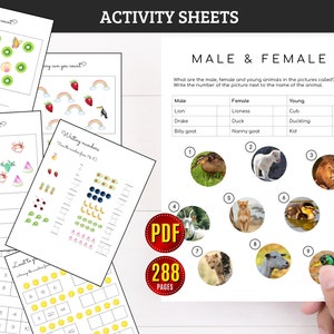 Worksheet Preschool Learning Activities, Bundle Digital Pre-k + K ...