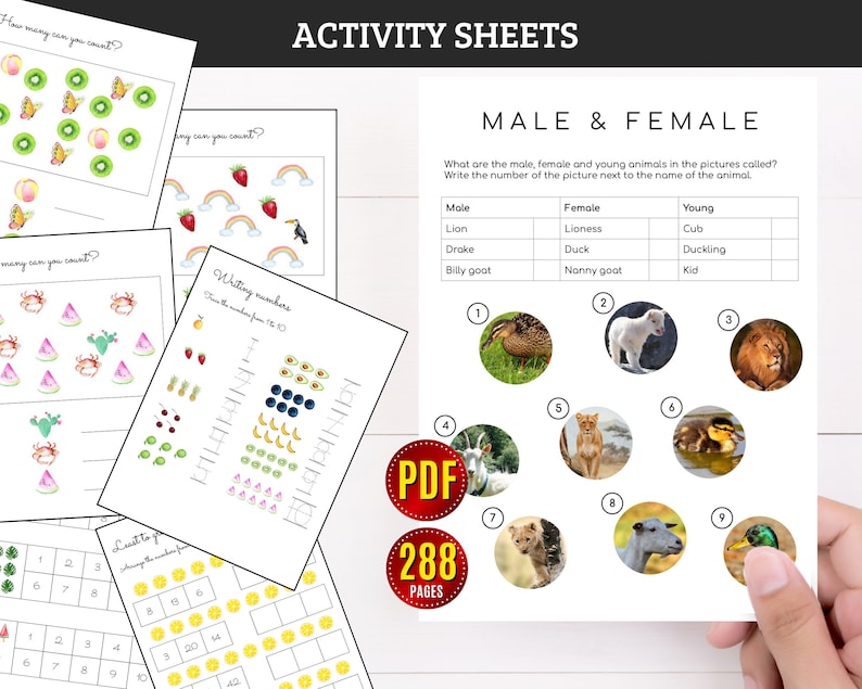 Worksheet Preschool Learning Activities, Bundle Digital Pre-k K ...