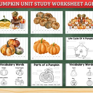 Pumpkin Life Cycle Unit Study Worksheet Homeschool Lessons Learning ...