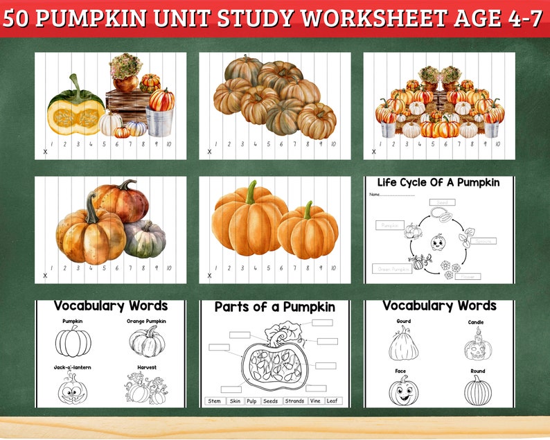 Pumpkin Life Cycle Unit Study Worksheet Homeschool Lessons Learning ...