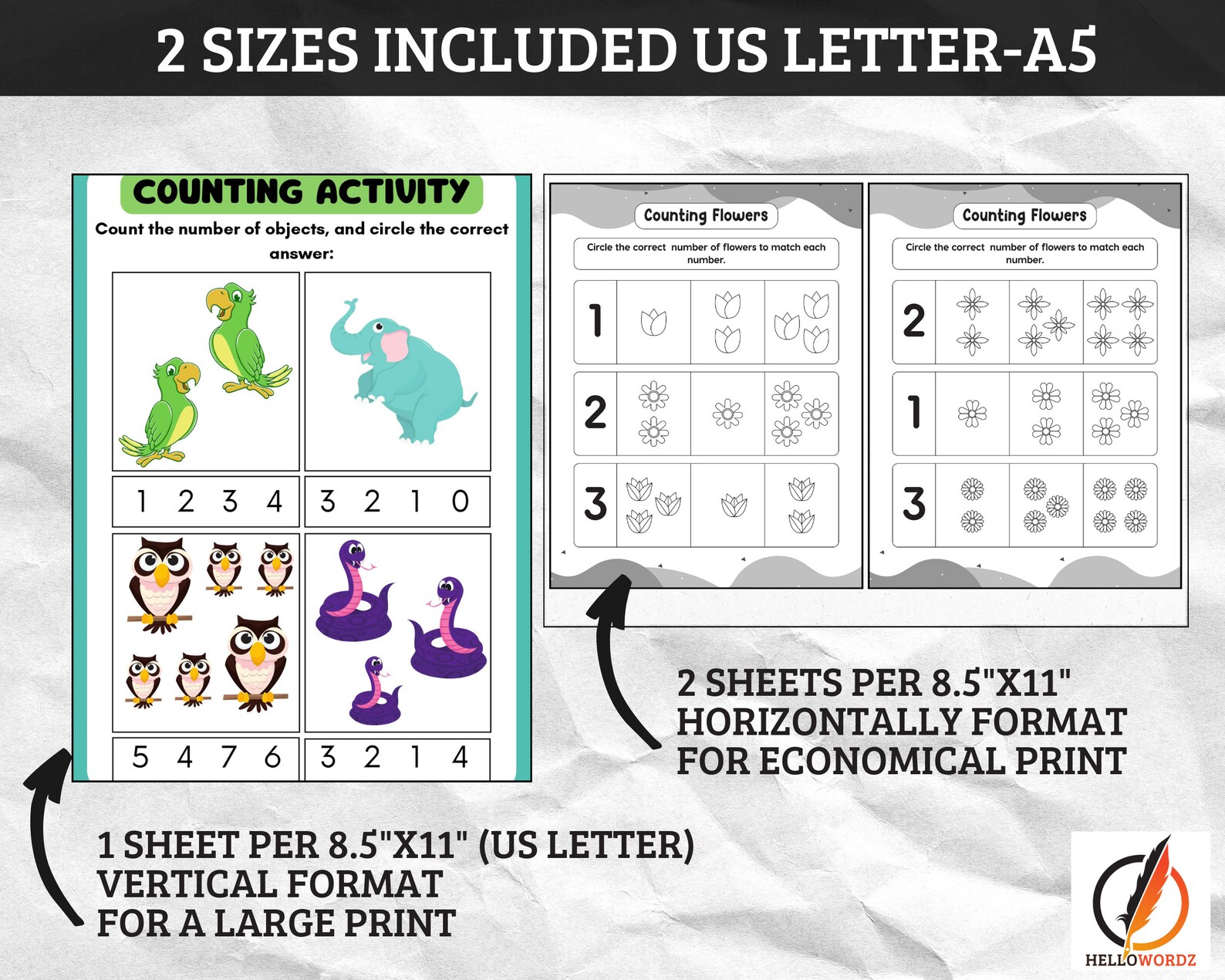 Counting Objects Activity, Counting Activities for Preschool Basic Math ...