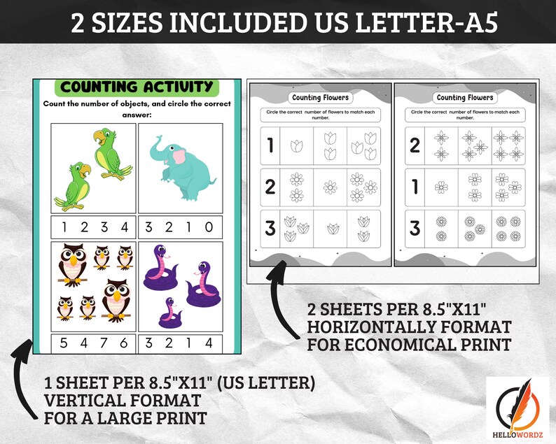 Counting Objects Activity, Counting Activities for Preschool Basic Math ...