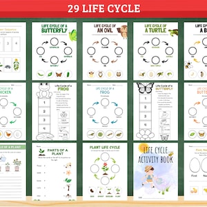Life Cycle Science Activity Workbook Themed Animal Foldable Practice ...