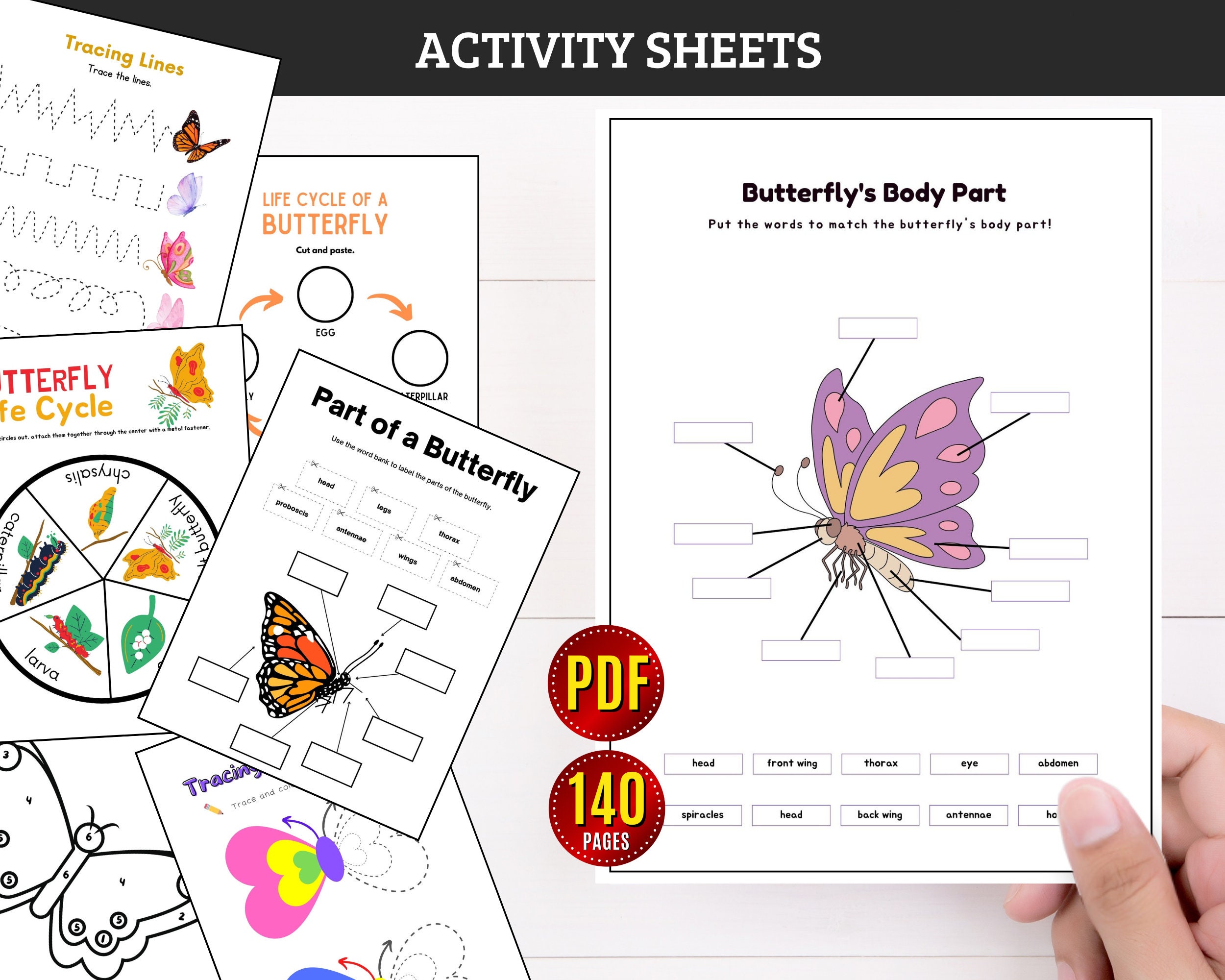 Butterfly Worksheet Spring Life Cycle Tracing Activity for Kids Crafts ...