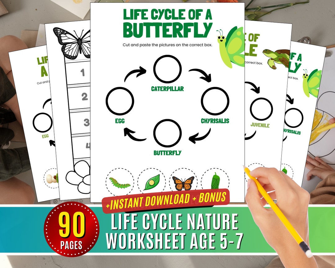 Life Cycle Worksheet, Butterfly Life Cycle Worksheet, Activity Life ...