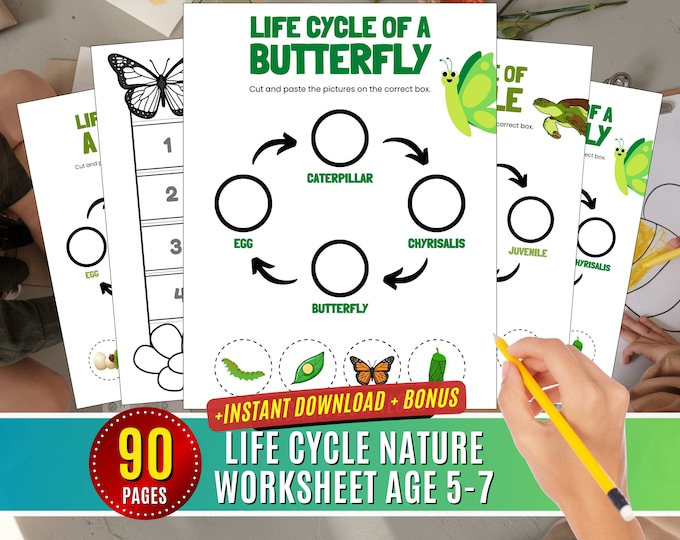 Cactus Life Cycle Learning Activity for Kids | A4 and 11x8.5 Inch ...
